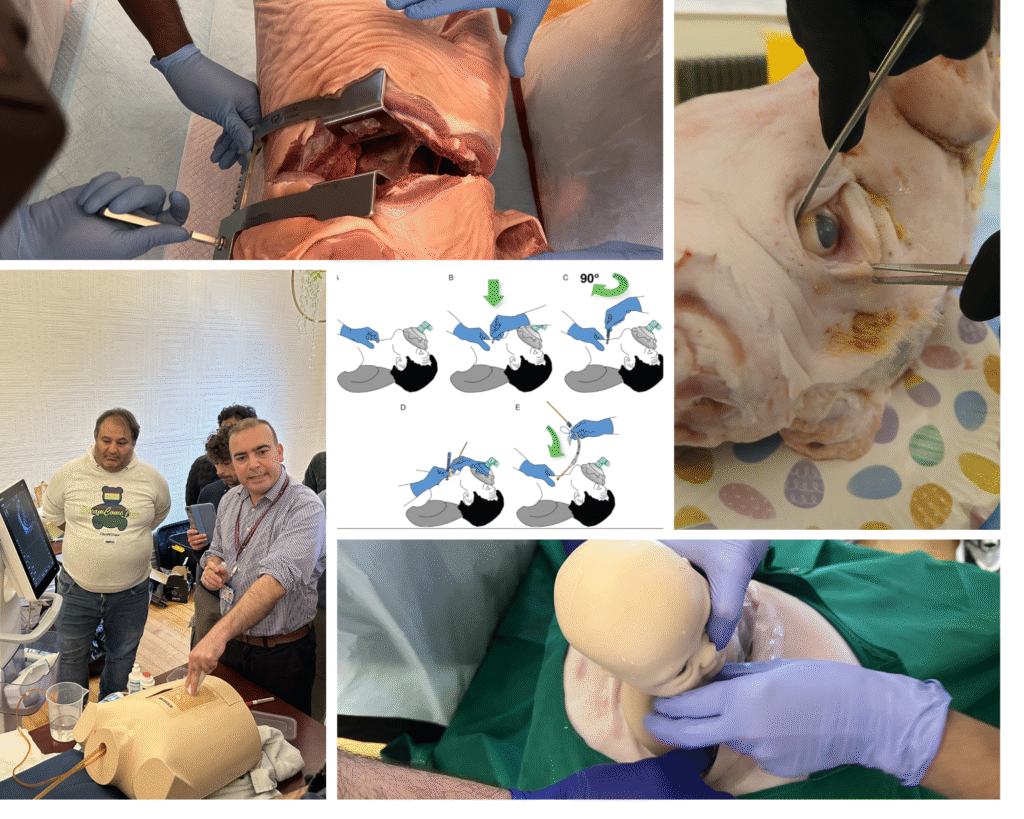 High Acuity, Low Occurrence (HALO) Procedures Course – mapscourses.co.uk